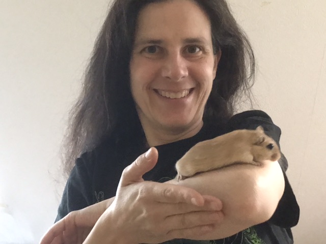 Das Team – Sophie's kleiner Laden