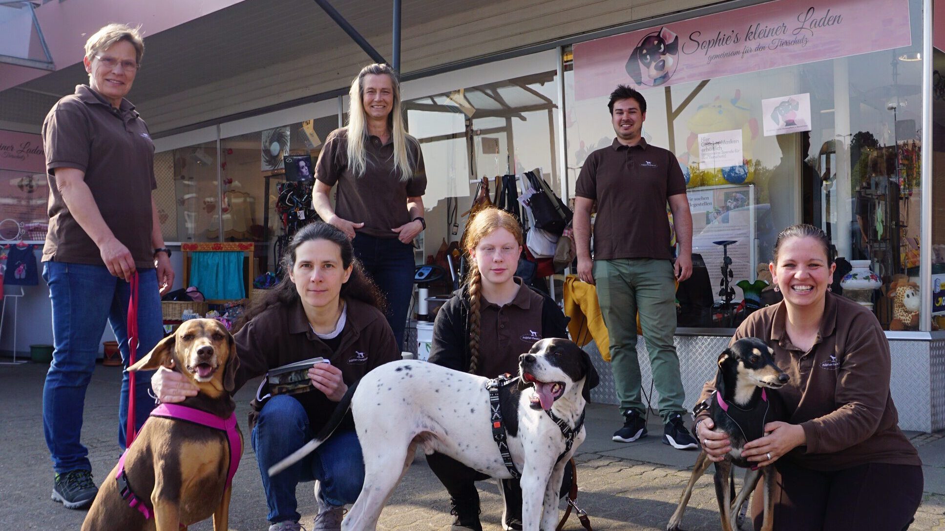 Pointer-Freunde – Sophie's kleiner Laden